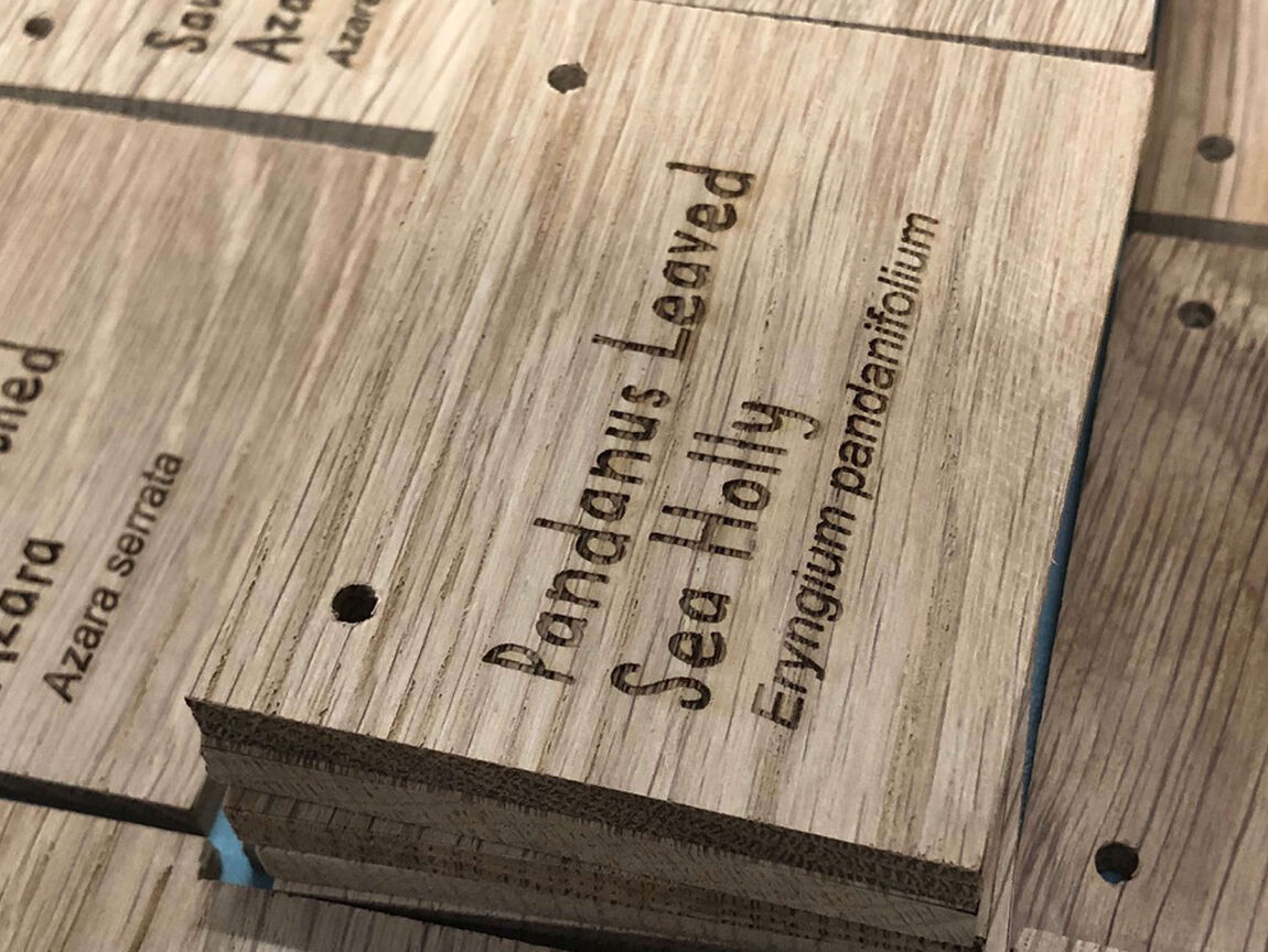 Laser Engraving & Rastering | Laser Cutting Services Ltd.